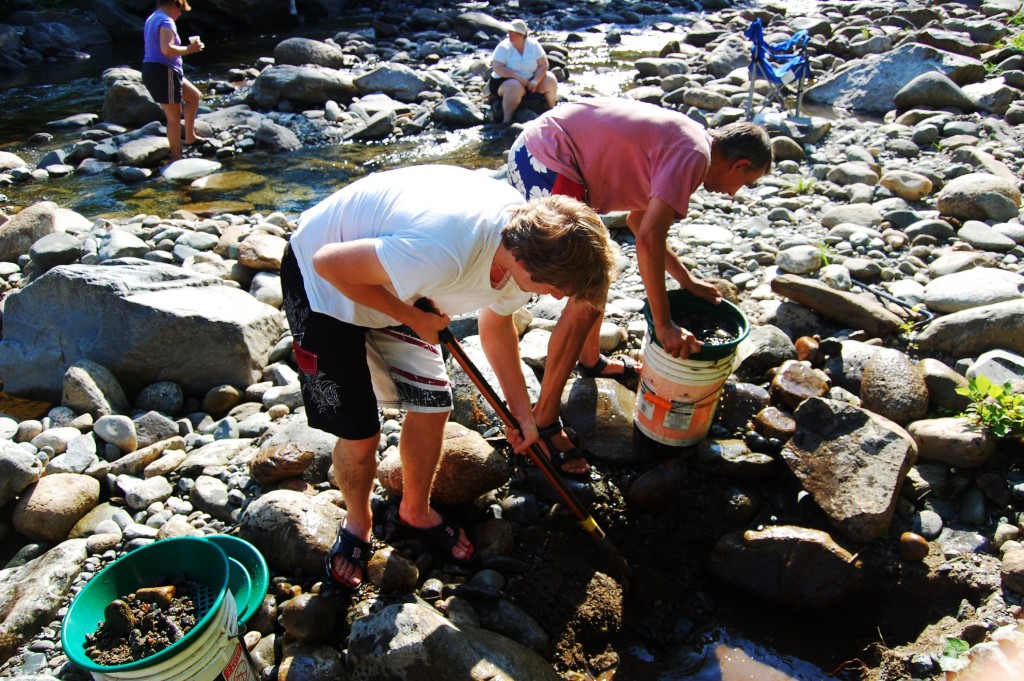 New to gold prospecting? Some tips for newbies… | Arizona Gold ...