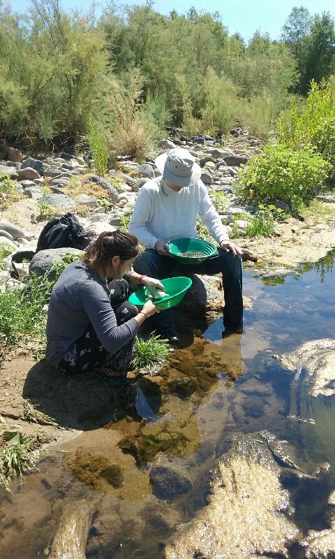 Arizona Gold! | Arizona Gold Prospecting Adventures